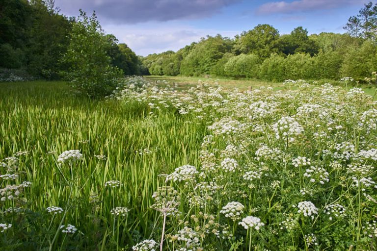 80 Best Places to Visit in UK - Most Beautiful Landscapes